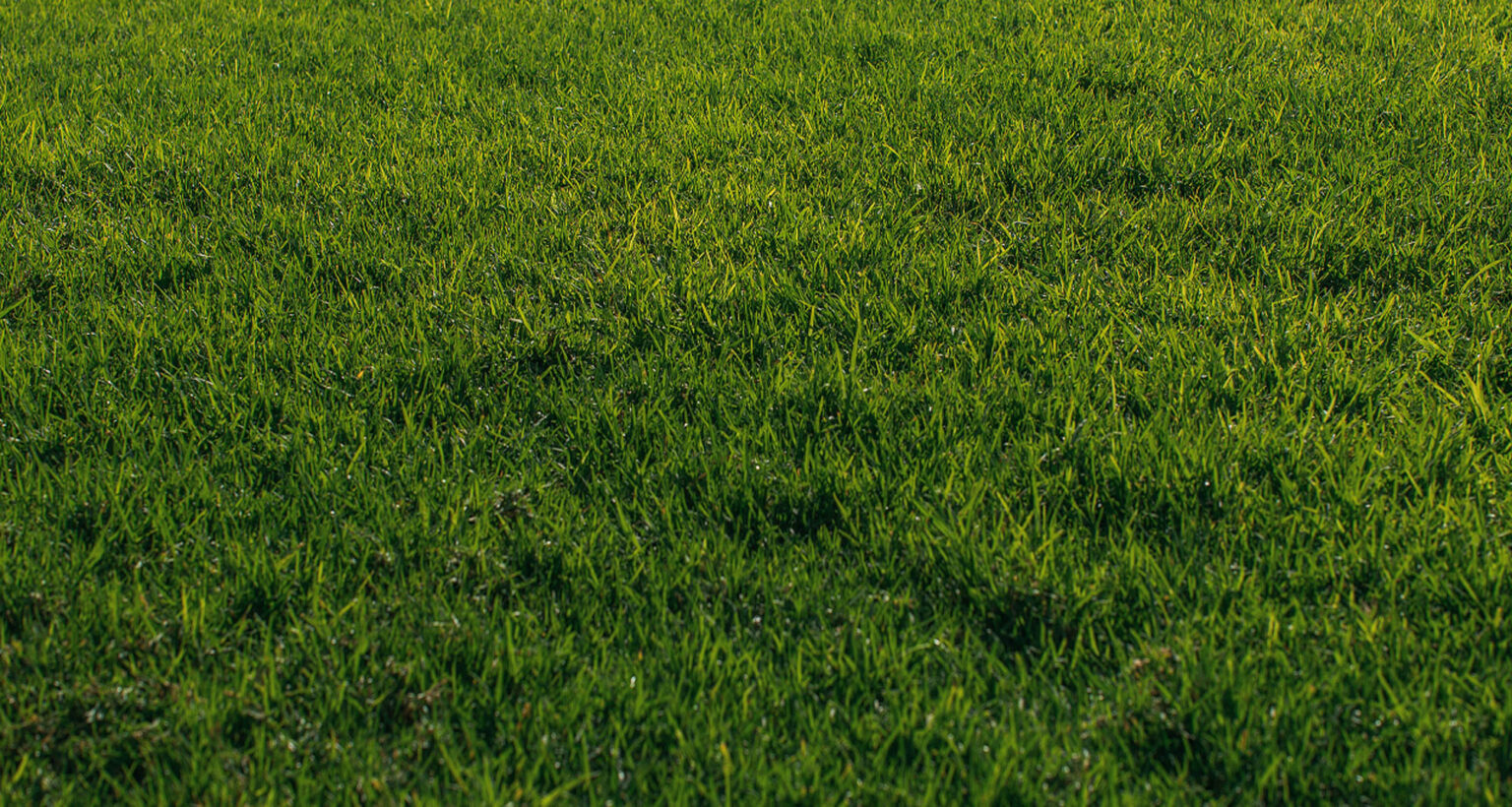 Our Locations | Grass Pad