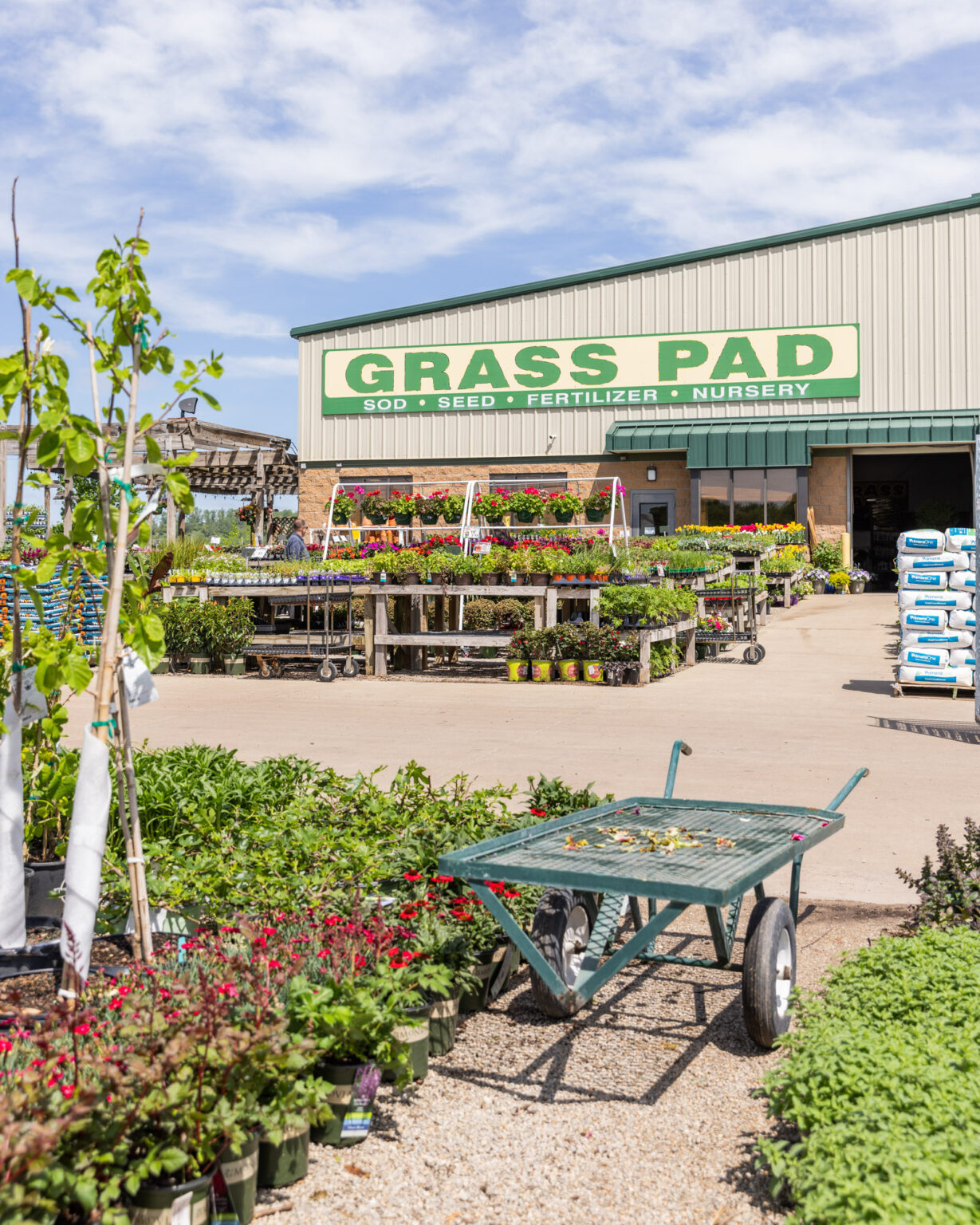 Grass Pad | Lawn Care Supply Store