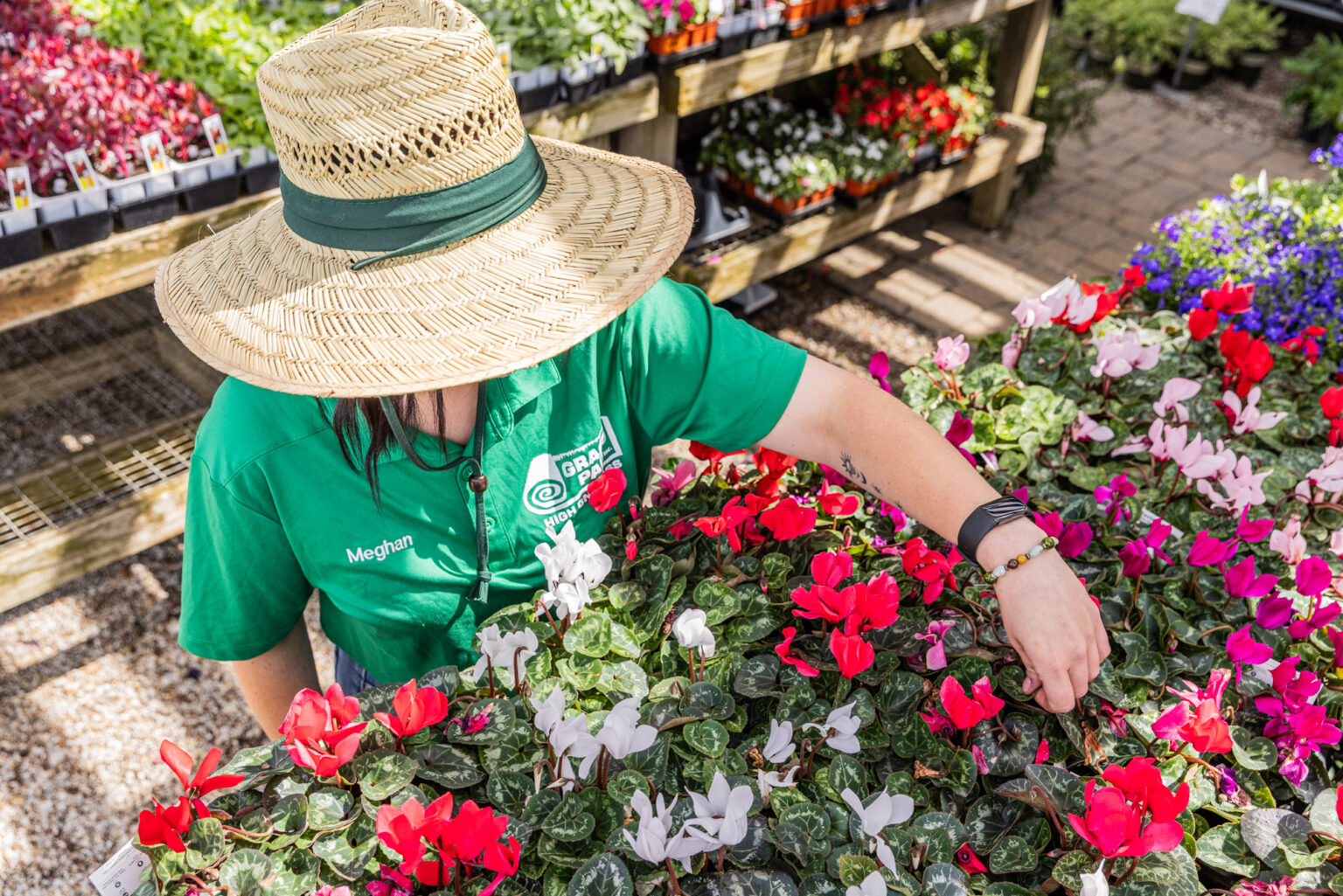 Grass Pad | Lawn Care Supply Store