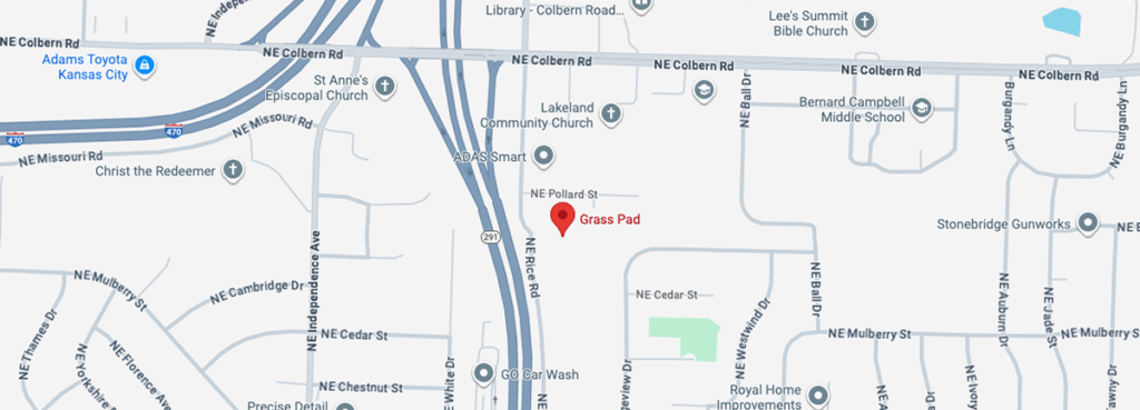 Grass Seed | Grass Pad