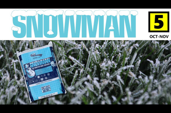 Seed Safe Lawn Care Program | Grass Pad