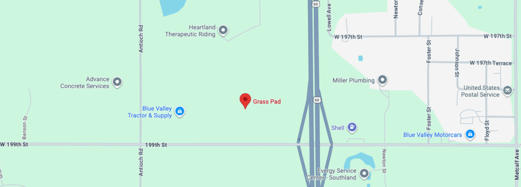 Grass Seed | Grass Pad