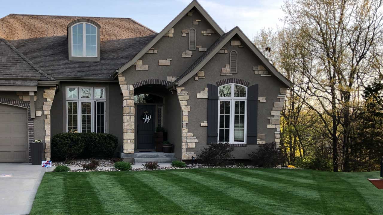 Best Kentucky Bluegrass Seed is Blue Wave® | Grass Pad