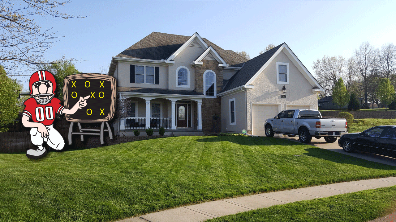 Grass Seed Buyer's Guide | Grass Pad