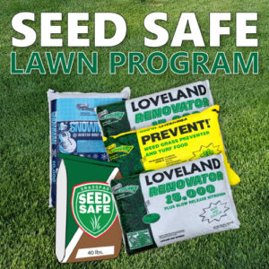 Seed Safe Lawn Care Program | Grass Pad