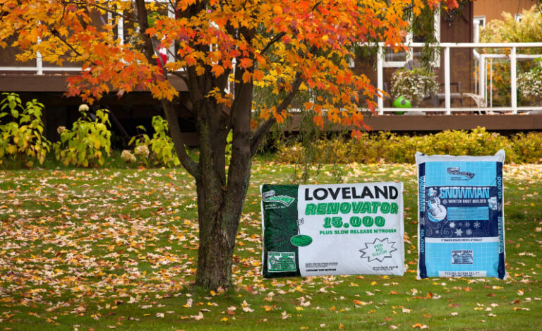 Grass Seed | Grass Pad